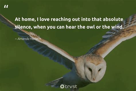 72 Wind Quotes About Brisk Days And Windy Moments 2024