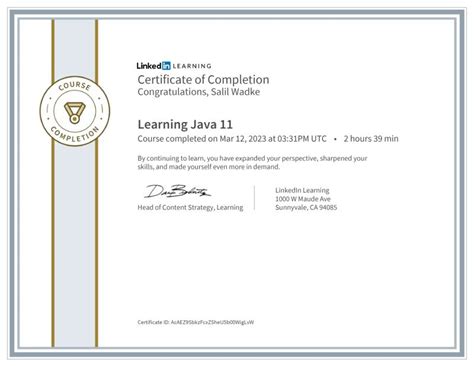 Salil Wadke On Linkedin 💫 Completed Learning Basic Java Programing Course💫