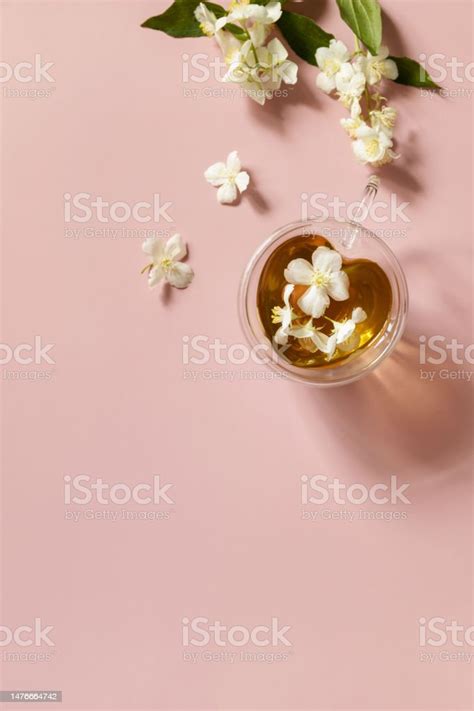 분홍색 파스텔 배경에 재스민 꽃과 재스민 차 한잔 유기농 천연 음료 개념 위에서 본 모습 공간을 복사합니다 머그에 대한 스톡