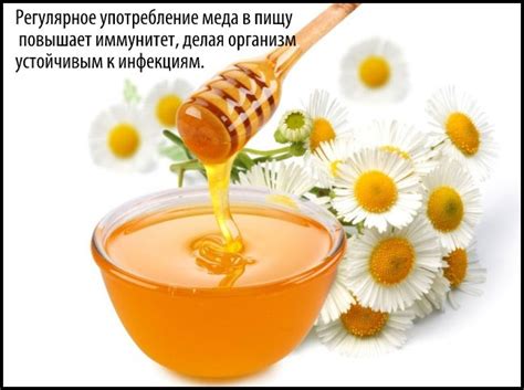 Польза меда | Чем полезен мед для человека?