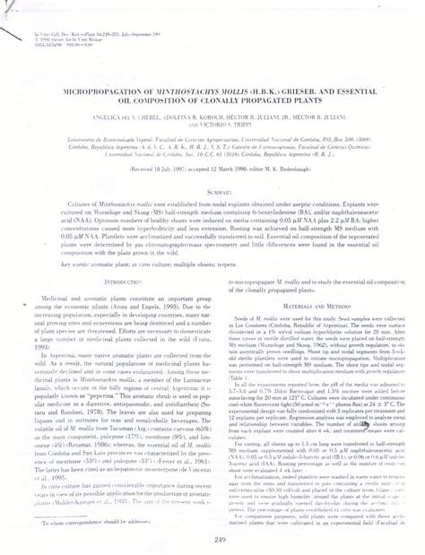 Pdf Micropropagation Of Minthostachys Mollis Hbk Grieseb And Essential Oil Composition
