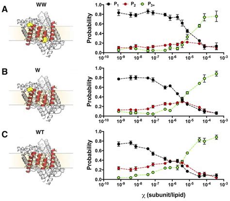 Figures And Data In The Dimerization Equilibrium Of A Clc Cl− H