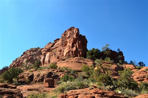Premium Photo Scrub And Trees At The Base Of A Red Rock