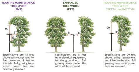 Eversource Begins 2024 Tree Trimming Program In West Hartford We Ha