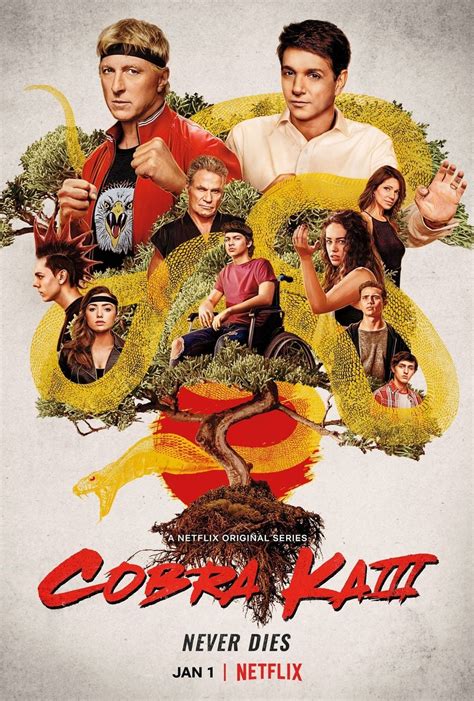 Poster Cobra Kai Saison 3 Affiche 100 Sur 146 Allociné