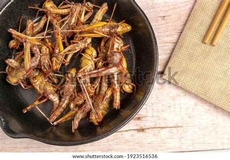 Side View Deep Fried Grasshoppers Crispy Foto Stock 1923516536