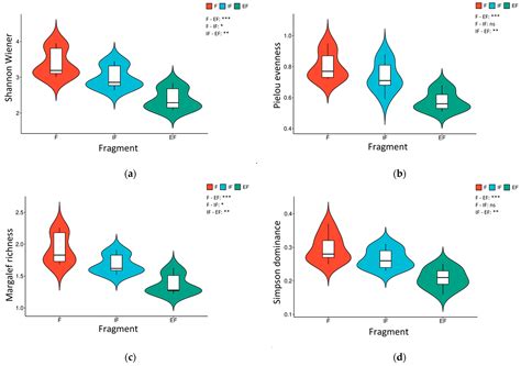 Urban Forest Fragmentation Reshapes Soil Microbiomecarbon Dynamics