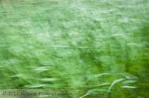 Grass Abstract Korwel Photography