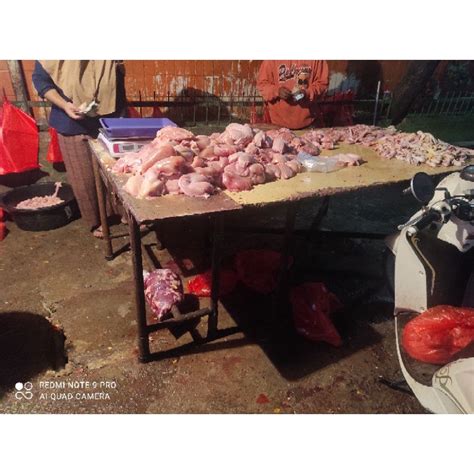 Jual Daging Fillet Fresh Shopee Indonesia