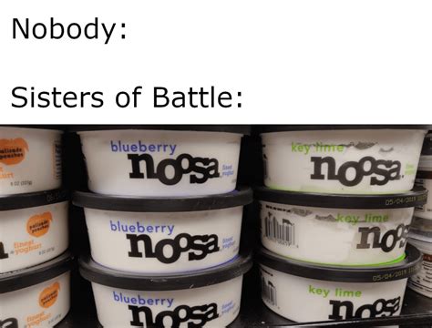 Mantis Irl R Hollowknightmemes