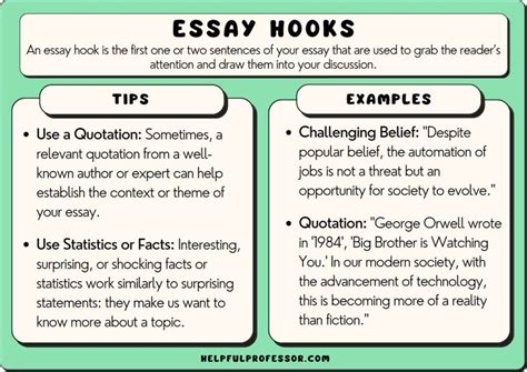 Essay Examples