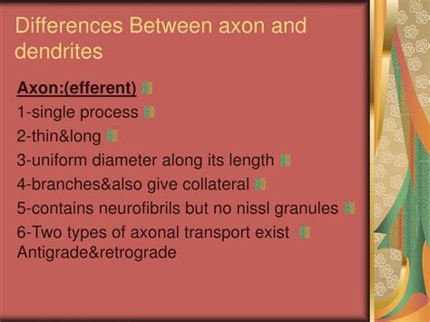 Ppt Differences Between Axon And Dendrites Powerpoint Presentation Free Download Id 5917584