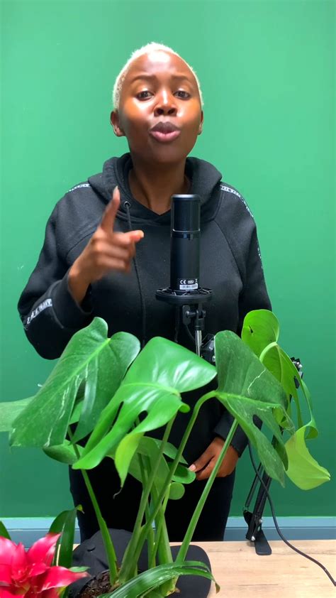 9 Out Of 10 People Who Take This Test Fail And Go One To Lose Loads Of