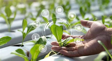 The Future Of Agriculture Why Commercial Agriculture Should Adopt Cloud Technology Agmatix