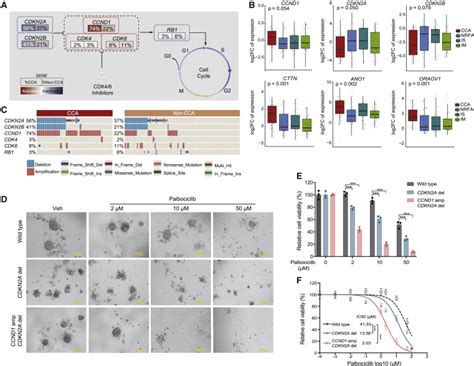 Integrated Multi Omics Profiling Yields A Clinically Relevant Molecular Classification For