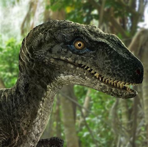 A Jurassic World Of Concept Art Jurassic Pedia Jurassic Park World