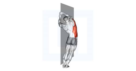 Shoulder Circle Guide Benefits And Form