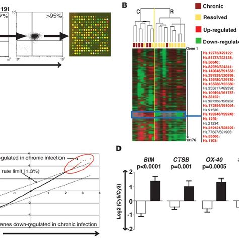 cdna microarray data of hbv specific cd8 t cells from resolved and