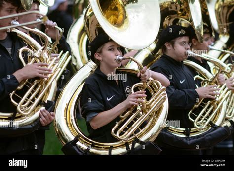 Marching Band Tuba At Marla Irby Blog