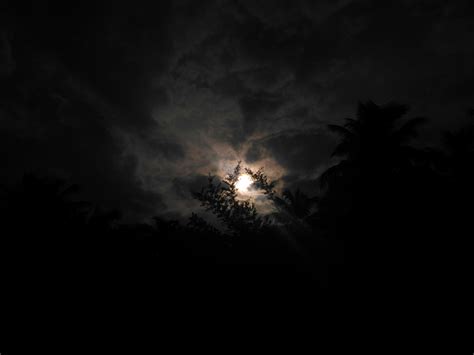 Deepak Murali Photography