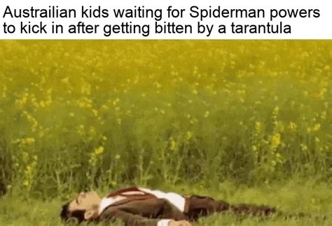 They Have Many Spiders Scrolller