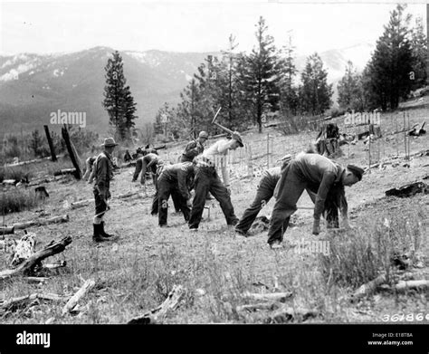 This Image Highlights The Dynamic Relationship Between Nature And Environmental Conservation