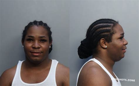Blake Damonte Letroy Miami Dade County Mugshots Zone
