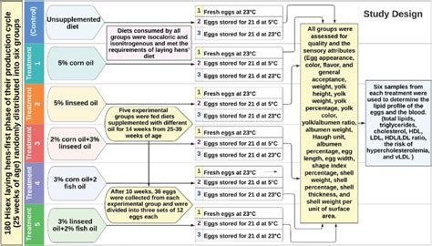 The Experimental Design Download Scientific Diagram