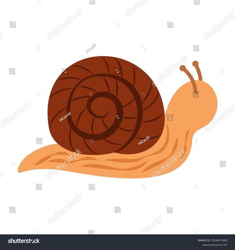 Steamed Snail Over 211 Royalty Free Licensable Stock Illustrations