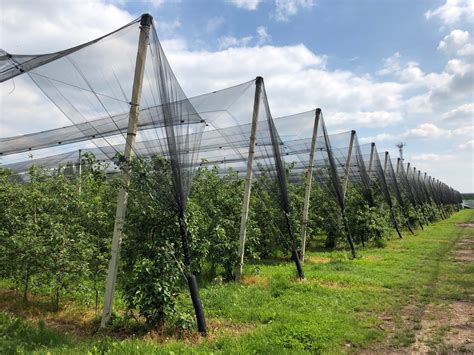 Impianti Antigrandine Corradi Protection Systems Srl