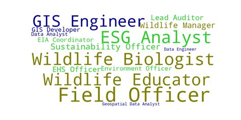 Placement Overview Ieer Pune Bharati Vidyapeeth