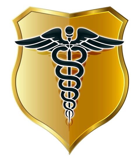 Spanish Med Shield Central