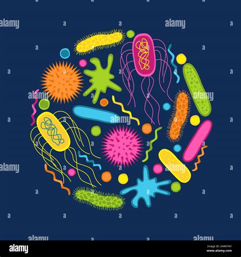 Spirilla Bacteria Diagram