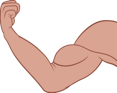 Arm Clipart