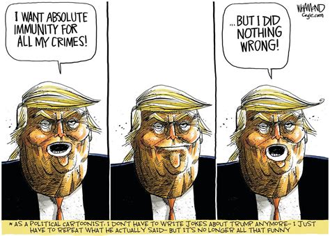Midnight Meme Of The Day Trump Is Just A Reflection In The Mirror For