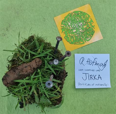 Grass Block Shit Infested Roach Human Carcass