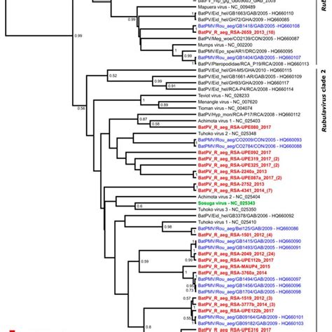 Phylogeny Of A Partial Polymerase L Gene Fragment 210 Nucleotides