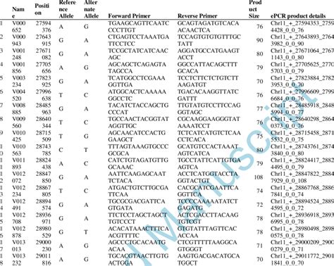 The Snp Markers And Their Primers Used To Shorten The Candidate Qtl Download Scientific Diagram