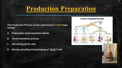 Bakers Yeast PPTX