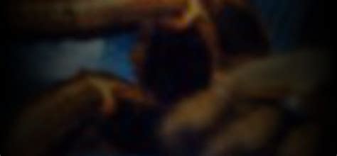 Arachnia 2003 Nude Scenes Pics And Clips Ready To Watch Mr Skin