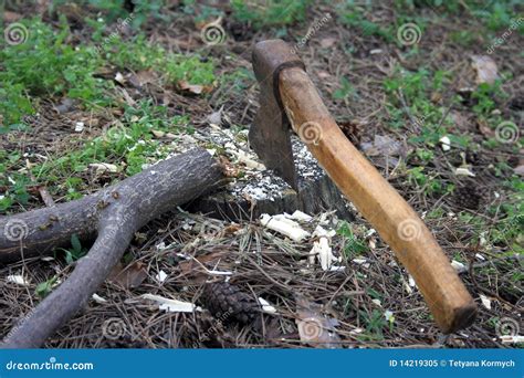 Ax And Log Stock Image Image Of Blade Forestry Lumber 14219305