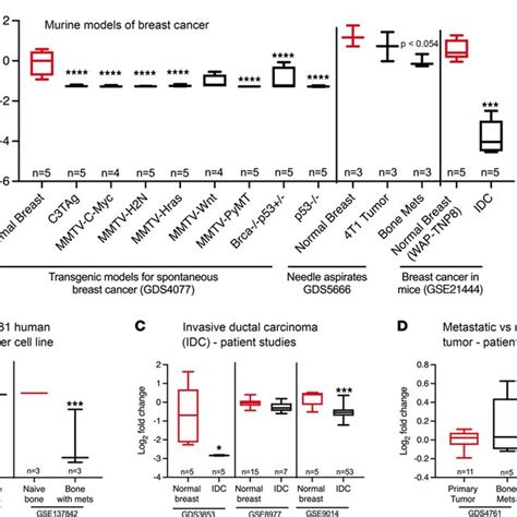 Microarray Analyses Of Publicly Available Data Sets For The Expression Download Scientific