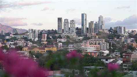 37 Facts About Homeotherm