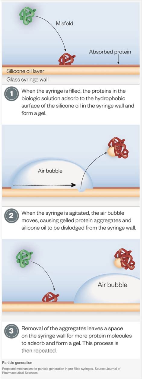 Protein Aggregation Formulating A Problem The Pharmaceutical Journal