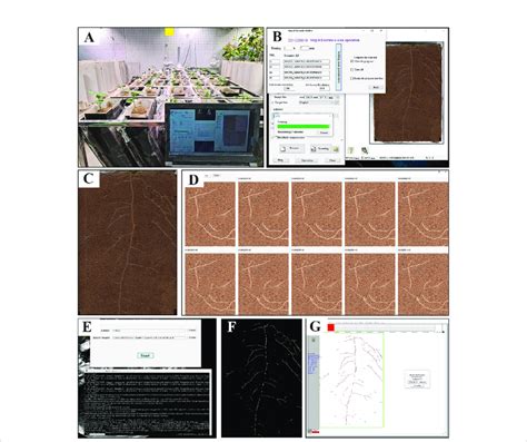 The Composition And Workflow Of The Rhizopot Platform For In Situ Root Download Scientific