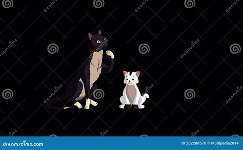 Black Cat And Her White Kitten Alpha Matte Stock Footage Video Of Looped Template 282288570