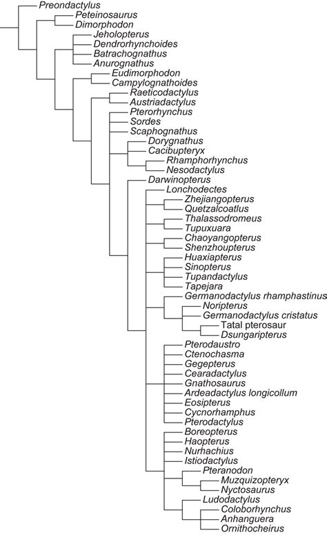 Strict Consensus Tree Of The Reanalysis Of The Matrix By Lü Et Al