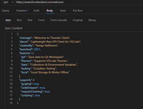 Offet Inside The Vscode Thunderclient Tab Issue Thunderclient Thunder Client Support