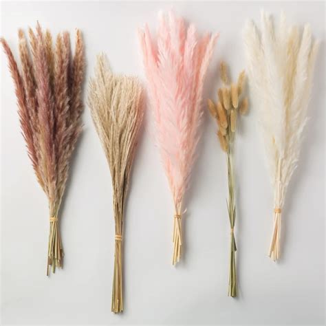 Dried Pampas Grass Decor Set 100 Pcs