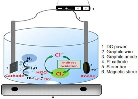 The Schematic Diagram Of The Real Electrochemical Process Download